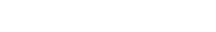 WITS Simulator from Erdos Miller